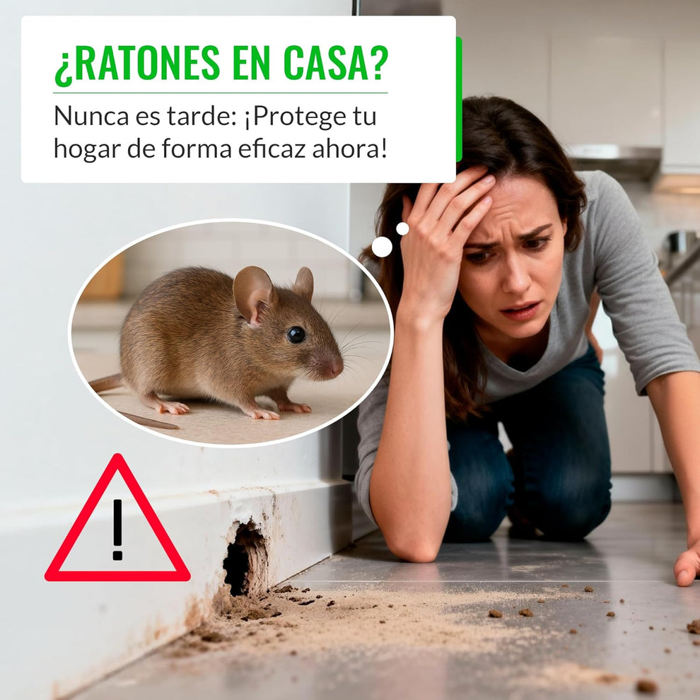 Professional Mouse Trap Bait Station for Mice and Small Rodents - Pack ...